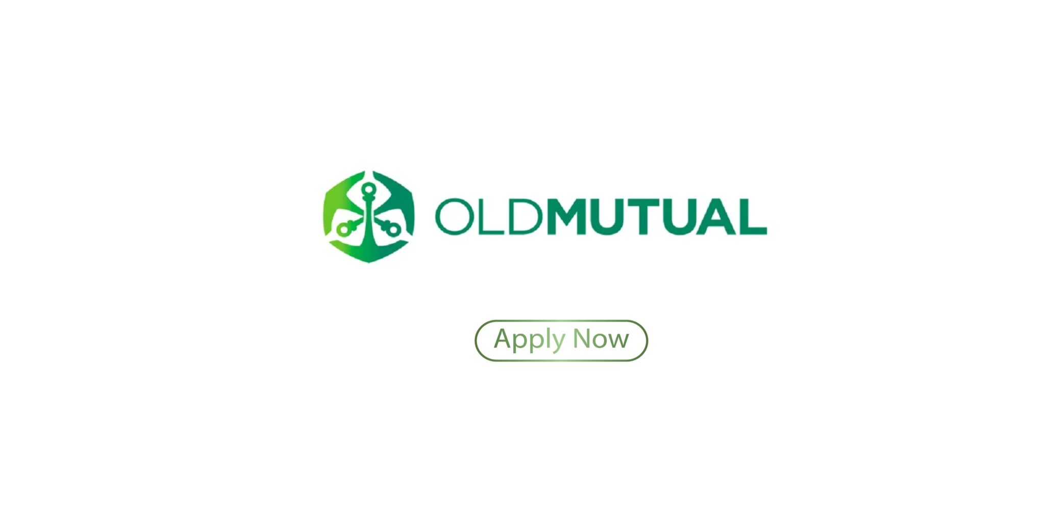 Old Mutual Corporate Internship Program 2026: Complete Guide – Flexjobs