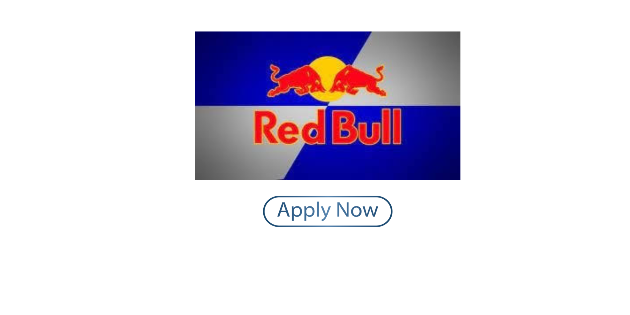 Red Bull Sales & Operations Graduate Internship 2026: Complete Guide ...
